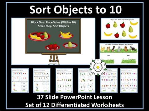 Sort Objects Year 1 White Rose Maths Teaching Resources