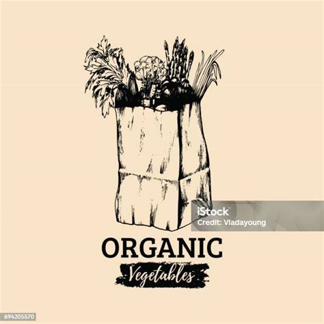 벡터 유기농 야채 포스터입니다 농장 신선한 에코 제품 그림입니다 야채와 함께 손 스케치 종이 가방 가방에 대한 스톡 벡터 아트 및 기타 이미지 Istock