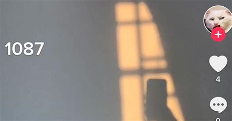 What Is The Meaning Of The Code 1087 On Tiktok Details