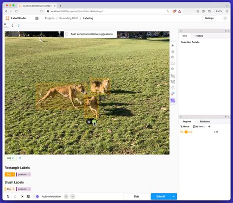 Using Text Prompts For Image Annotation With Grounding DINO And Label Studio Label Studio
