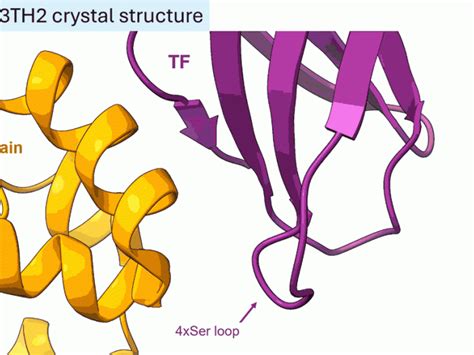 The Truth About Penile Implants