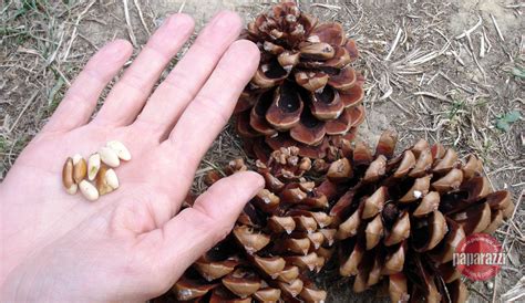 Татваргүй гардаг баялагтаа эзэн байя дарга нар аа