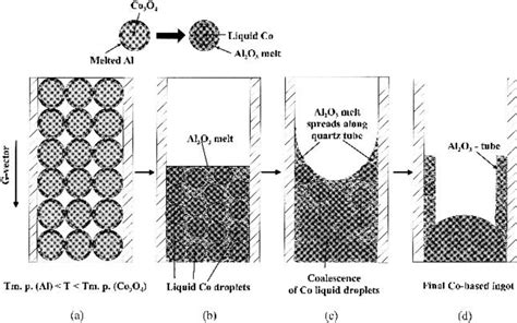 Schematic Representation Of Structural Transformations During Download Scientific Diagram