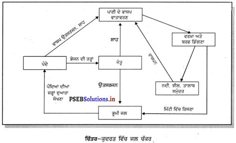 PSEB th Class Science Important Questions Chapter ਕਦਰਤ ਸਸਧਨ PSEB Solutions