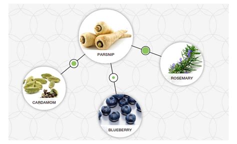 Cardamom Cake With Parsnip Ice Cream And Fried Rosemary Foodpairing