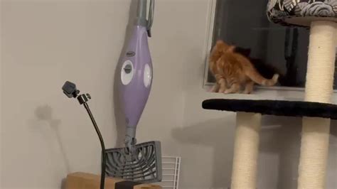 Just One Minute Of Frank Album On Imgur