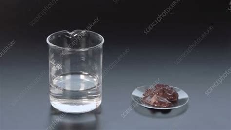 Catalase Enzyme Experiment Stock Video Clip K005 6250 Science Photo Library