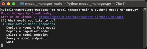Nika Duan On Linkedin Launch Yc Openfoundry Developer Infrastructure For Open Source Ai 🛠️🤖