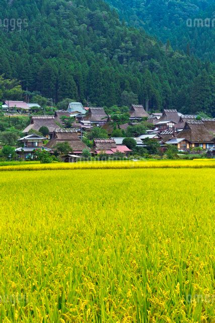かやぶきの里 美山町の写真素材 FYI03959708 ストックフォトの Qlean Market