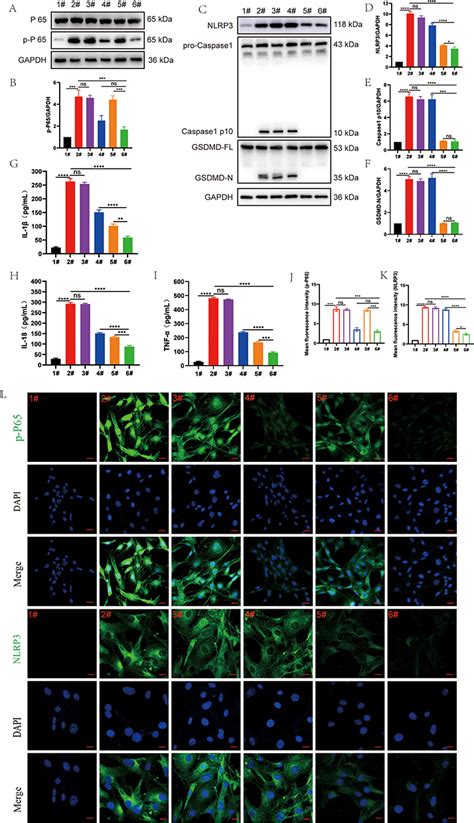 Development Of An Intelligent Reactive Oxygen Species Responsive Dual