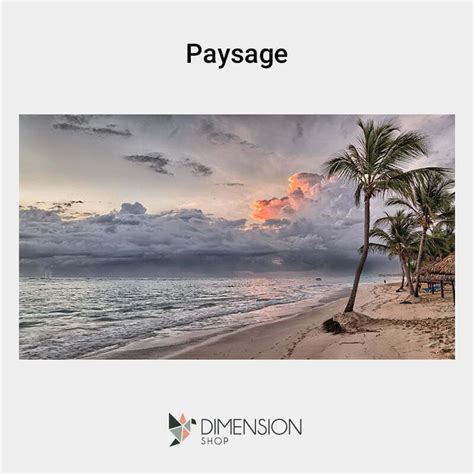 Papier Peint Paysage Dimensionshop