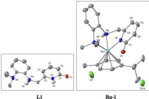 Ruthenium Nnn‐based Pincer Complexes With Metal Ligand Cooperation As Catalysts For N