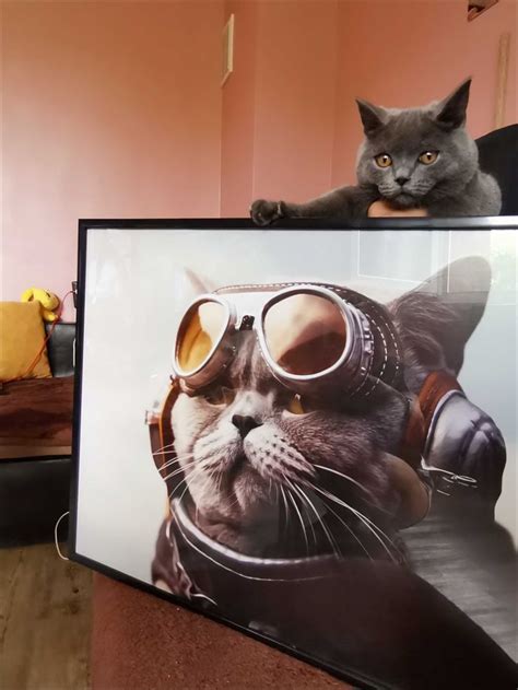 Томи е доволен 🙂