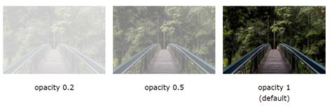 Css Opacity Transparency Tutorial Reference