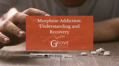 Morphine Addiction Causes Signs Effects And Treatment