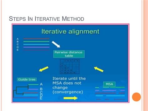 Multiple Sequence Alignment Pptx Genetics Science