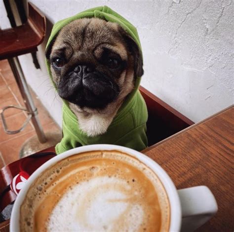 Raghav Dutt On Linkedin Rust Programing Sqlite Mongodb Postgres