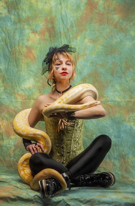 姿势 显示 Python Pixabay上的免费照片 Pixabay