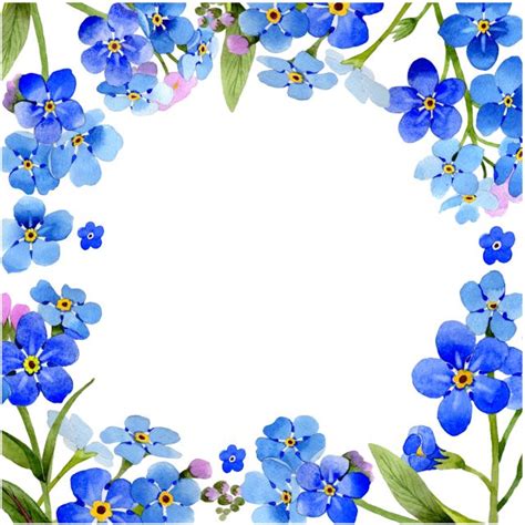 꽃 일러스트 수채화 풀 프레임 꽃 수채화 틀 Png 꽃들 수채화 Png 일러스트 및 Psd 이미지 무료 다운로드