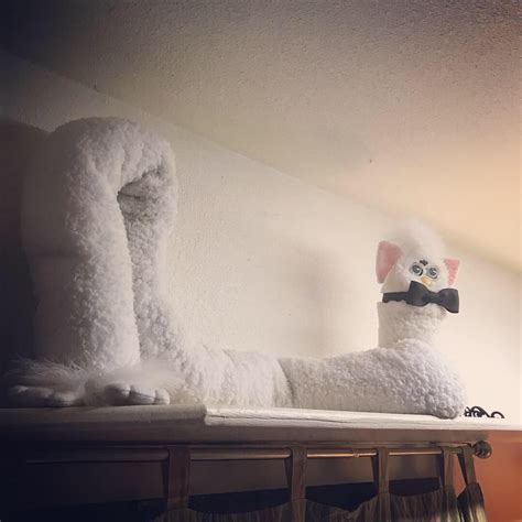 My Valentine R Longfurbies