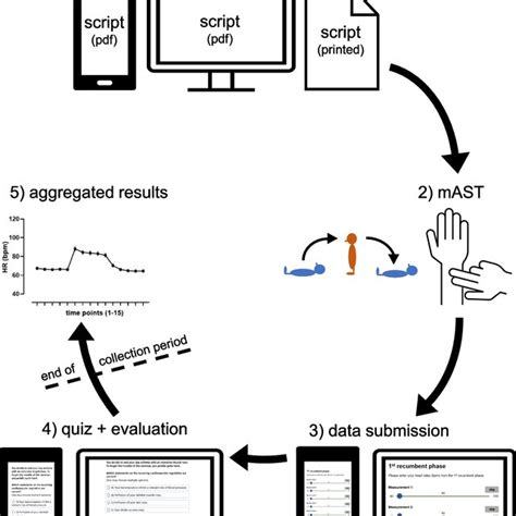 Course Structure The Laboratory Class Consisted Of Five Successive