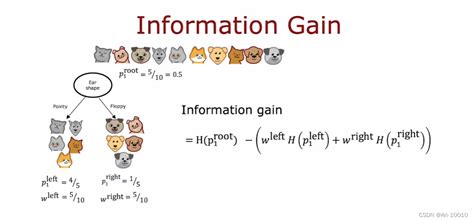 决策树熵信息增益one Hot回归树随机森林xgboostxgboost 裂变信息增益 Csdn博客
