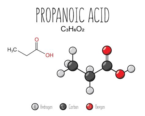 Pyruvic Acid Vectors And Illustrations For Free Download
