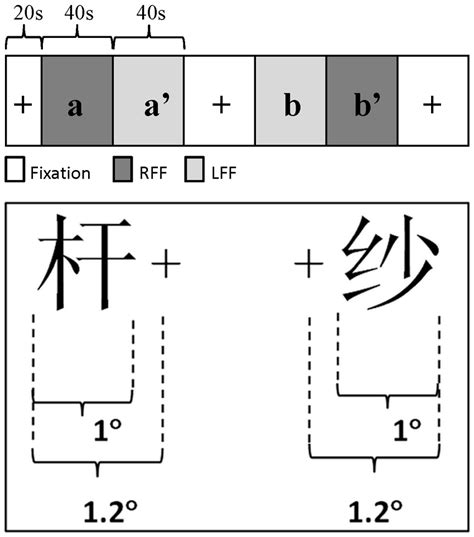 Schematic Depiction Of The Fmri Experimental Paradigm And Examples Of Download Scientific