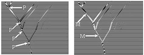 The Role Of Reverse Time Migration In Complex Imaging Canadian Society Of Exploration