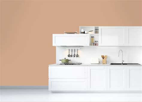 Clay Biscuit Jsw Paints