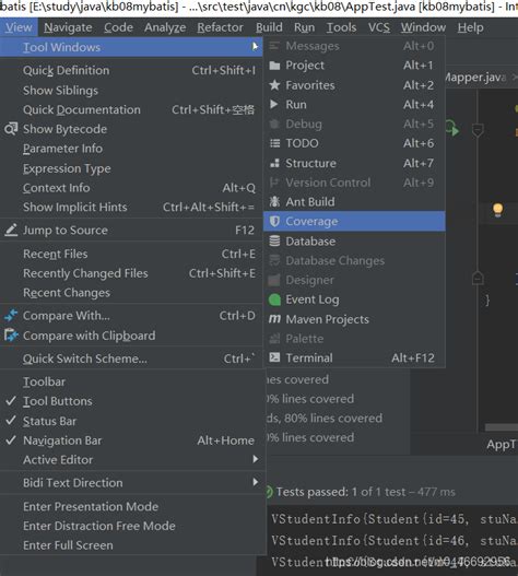 idea遇到项目包后面出现 classes， lines covered有效解决方法 idea 报名旁边出现 86 class 1