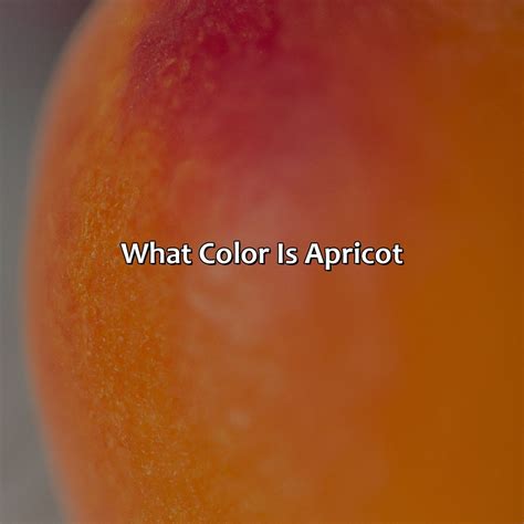 What Color Is Apricot