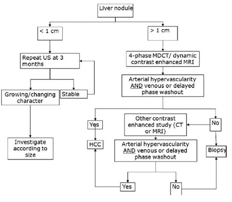 Aasld Diagnostic Algorithm For Suspected Hcc 2010 Ct Computed