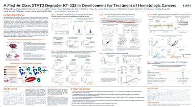 A First In Class Stat3 Degrader Kt 333 In Development For Treatment Of Hematologic Cancers