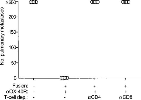 Figure 4 From Electrofusion Of Syngeneic Dendritic Cells And Tumor