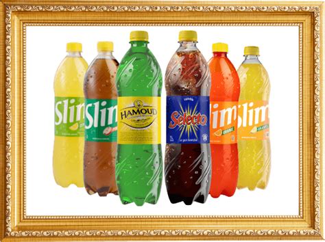 About Hamoud Boualem A Leading Algerian Soft Drink Company