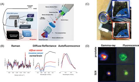 Examples Of Multi‐modality Surgical Guidance A Combined Raman
