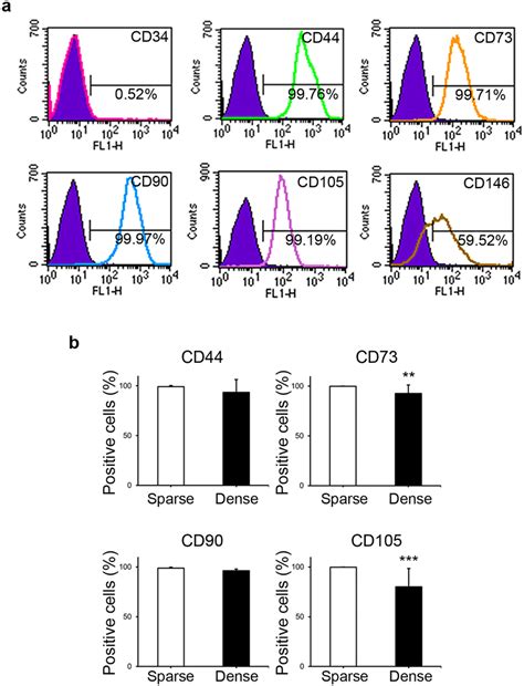 Cell Surface Markers A Cell Surface Markers Before Separation Into Download Scientific