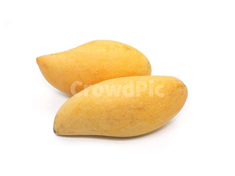 Fruit 과일 Food 음식 태국과일 사진이미지일러스트캘리그라피 Goodfly작가