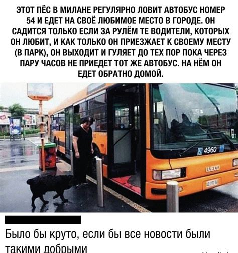 ГыГы Приколы выпуск №145209