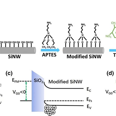 Color Online A Photograph Of Silicon Nanowire Array Sensor B Download Scientific Diagram