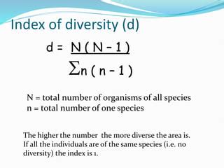 SPECIES DIVERSITY FOR HIGH Babe BabeS PPT