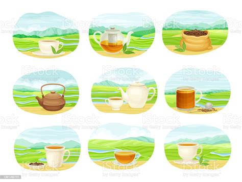 차 녹색 테라스 필드 농장 및 찻주전자 또는 뜨거운 향기로운 음료 양조 벡터 세트가있는 컵 0명에 대한 스톡 벡터 아트 및 기타
