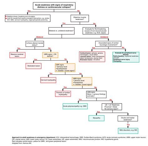 Physical Therapy For Generalized Weakness At Clinton Long Blog Physical Therapy For Generalized Weakness At Clinton Long Blog