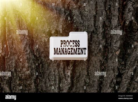 Writing Displaying Text Process Management Concept Meaning Aligning Processes With An