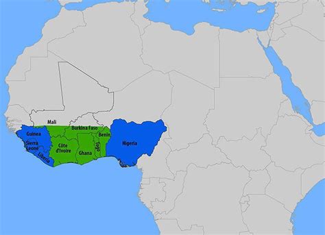 A Man In New Jersey Died Of Lassa Fever What Is It