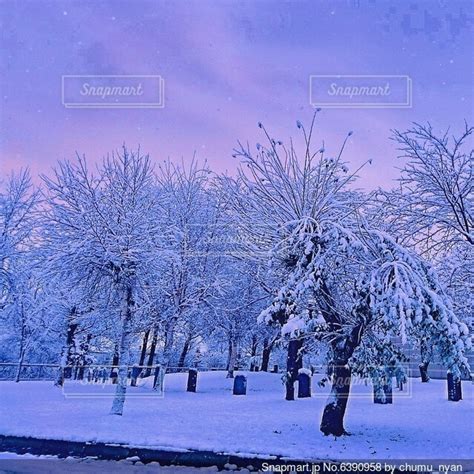 神秘的な冬の風景の写真画像素材 6390958 Snapmartスナップマート