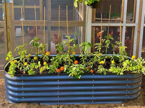Timber Raised Beds Vs Metal Raised Beds Pros And Cons