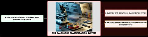 The Baltimore Classification System Algor Cards The Baltimore Classification System Algor Cards