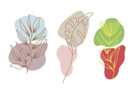 Premium Vector Plant Blob Branch 6